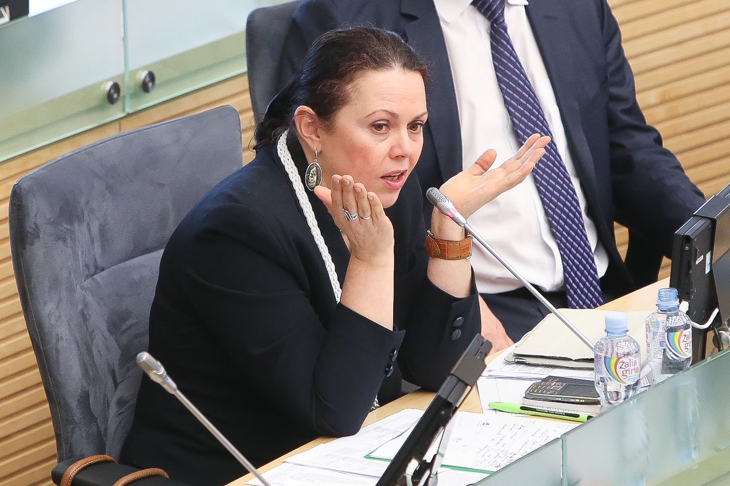 Lithuanian MP proposes to legislate children's duties - the Lithuania ...