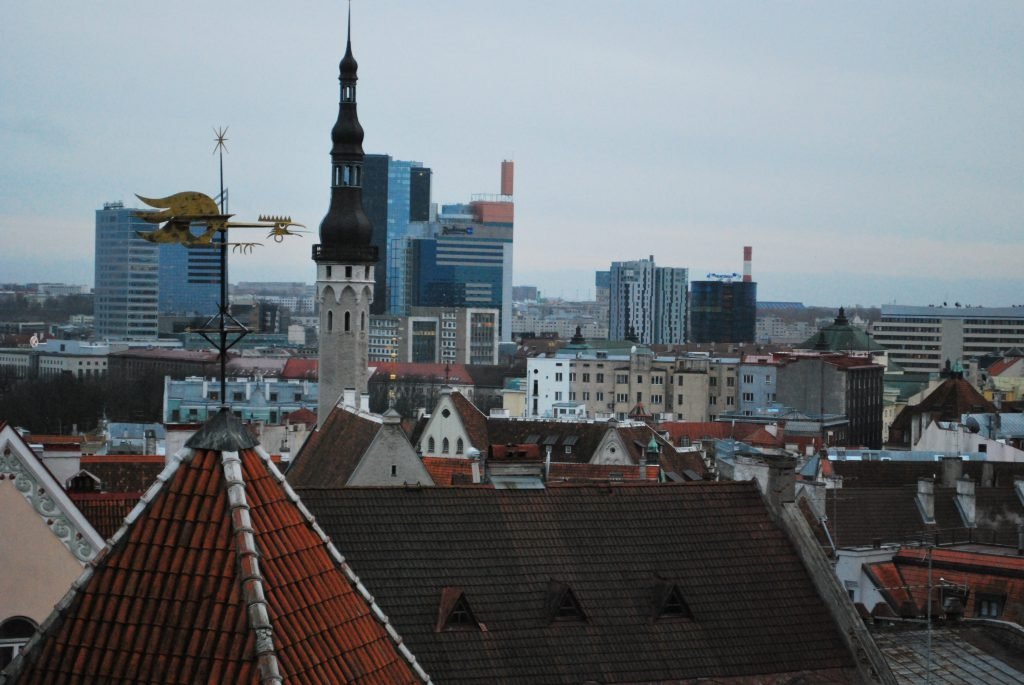 Tallinn named European City of the Trees - the Lithuania Tribune